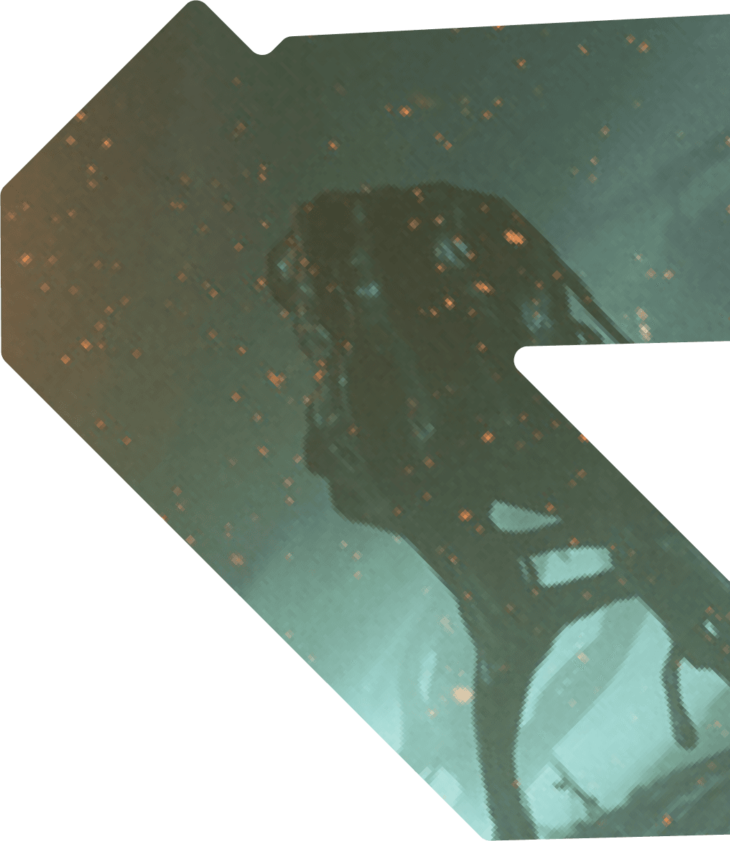 VR shooting games by VION. Virtual reality experience for business.
